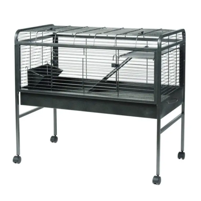 Bien choisir la cage de son lapin nain : Les 5 Meilleures cages d’intérieur