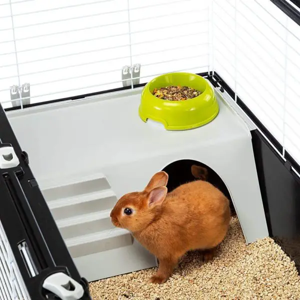 Bien choisir la cage de son lapin nain : Les 5 Meilleures cages d’intérieur