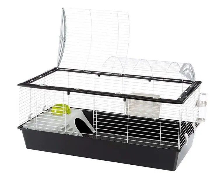 Bien choisir la cage de son lapin nain : Les 5 Meilleures cages d’intérieur